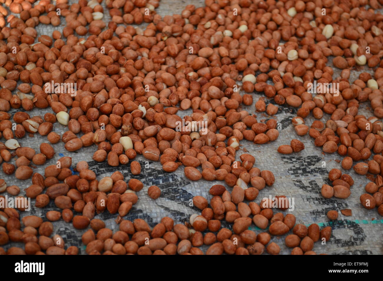 Peanut spread for drying Stock Photo - Alamy