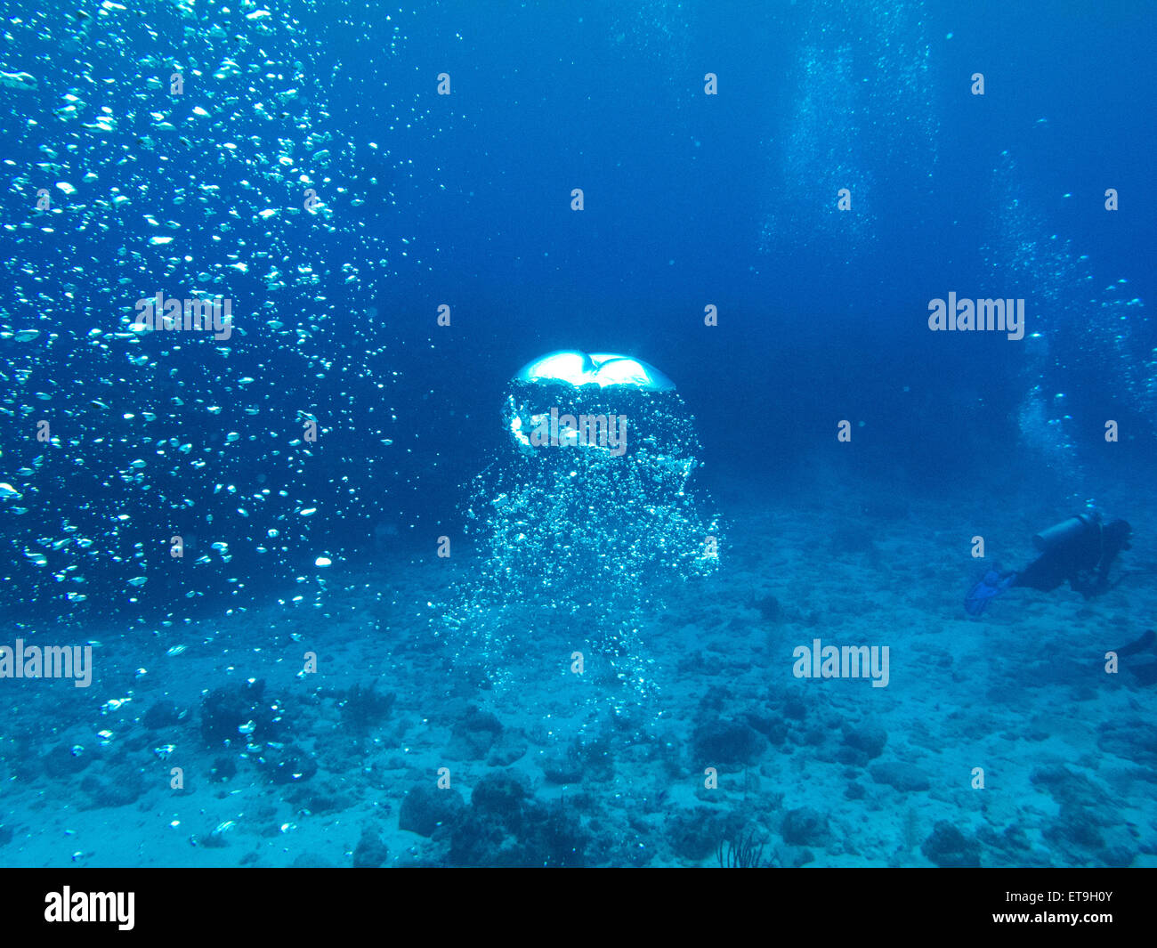 Air bubbles underwater rising to the surface Stock Photo - Alamy