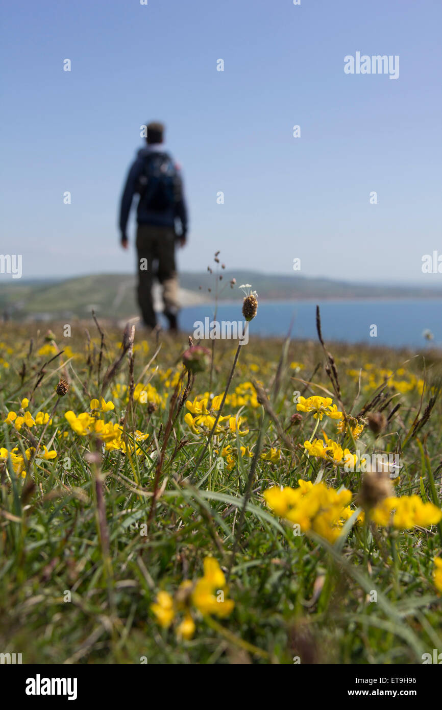 Walking over cliff hi-res stock photography and images - Alamy