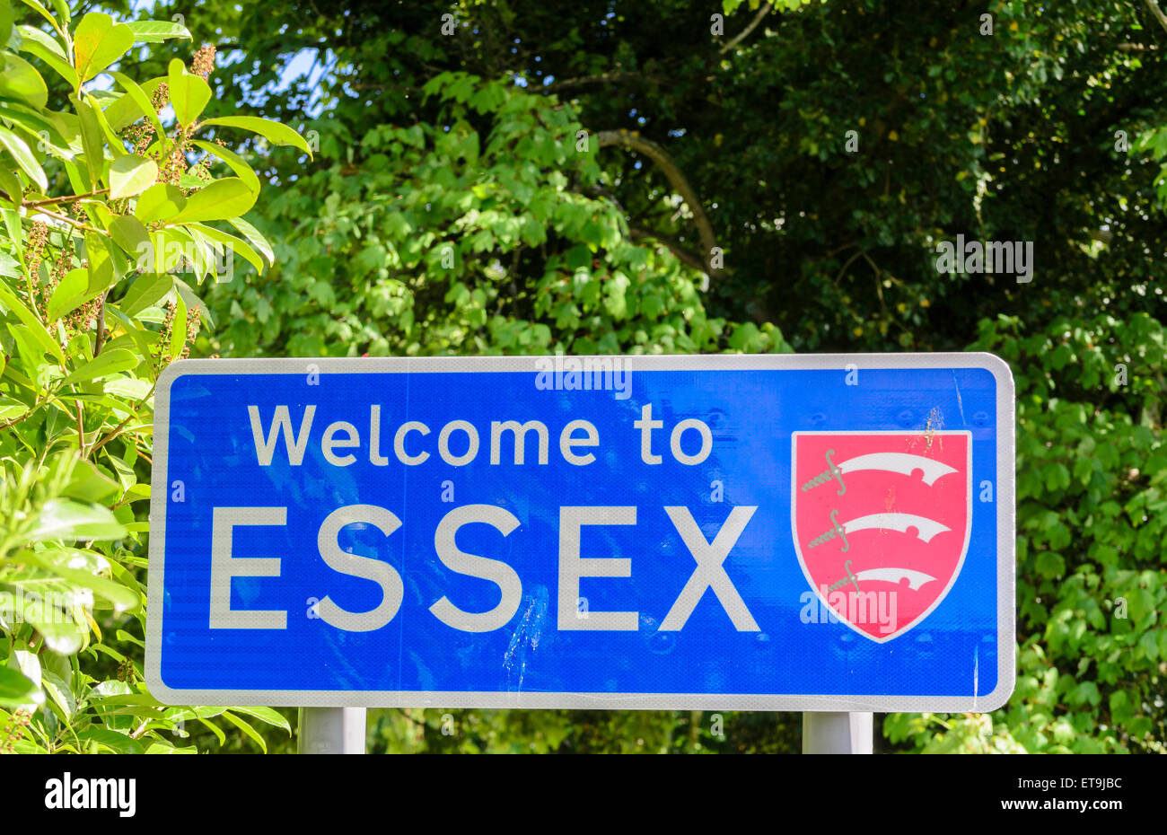 Signs Base Essex at Anthony Brunet blog