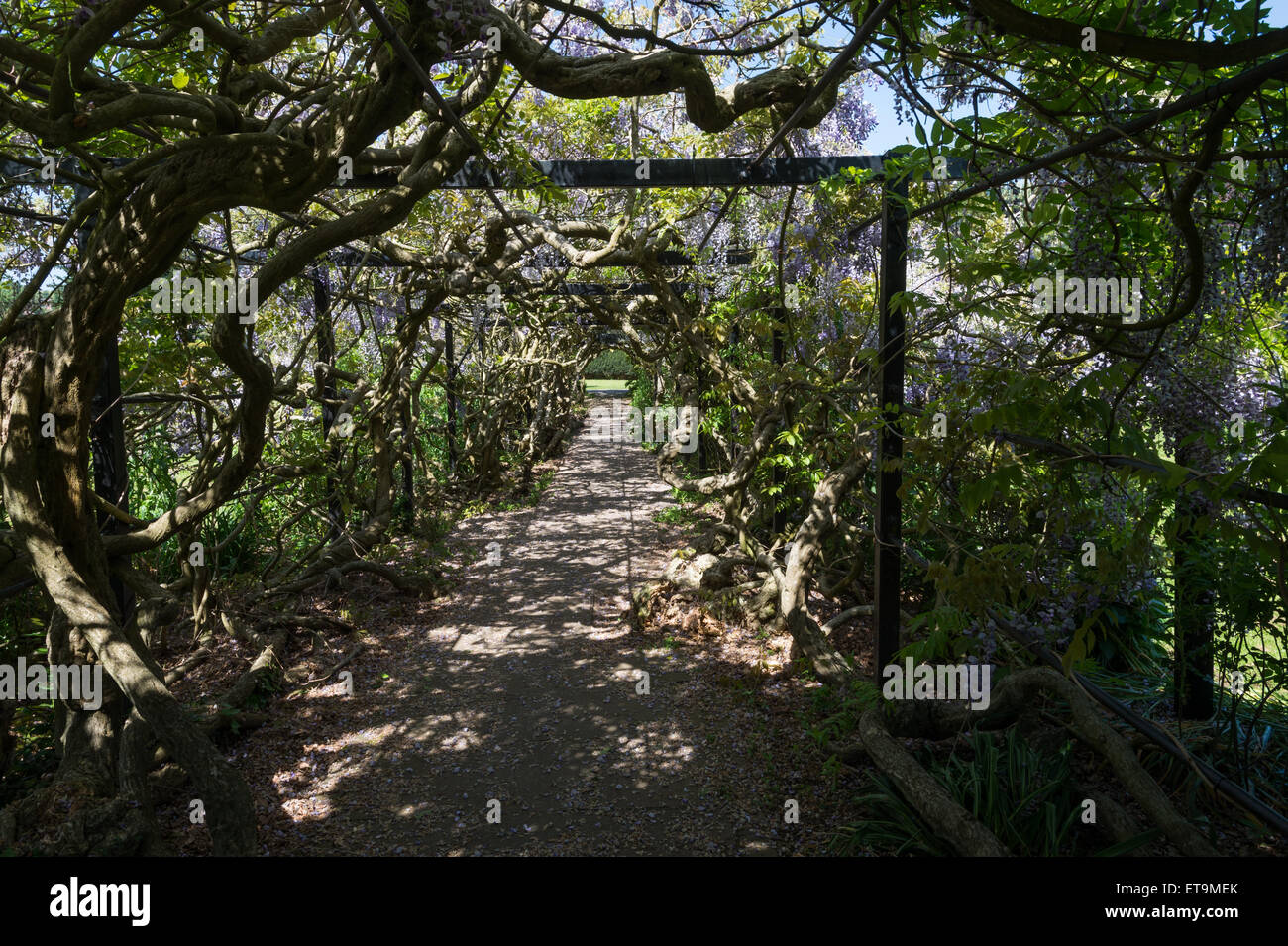 Arched Pergola High Resolution Stock Photography and Images - Alamy