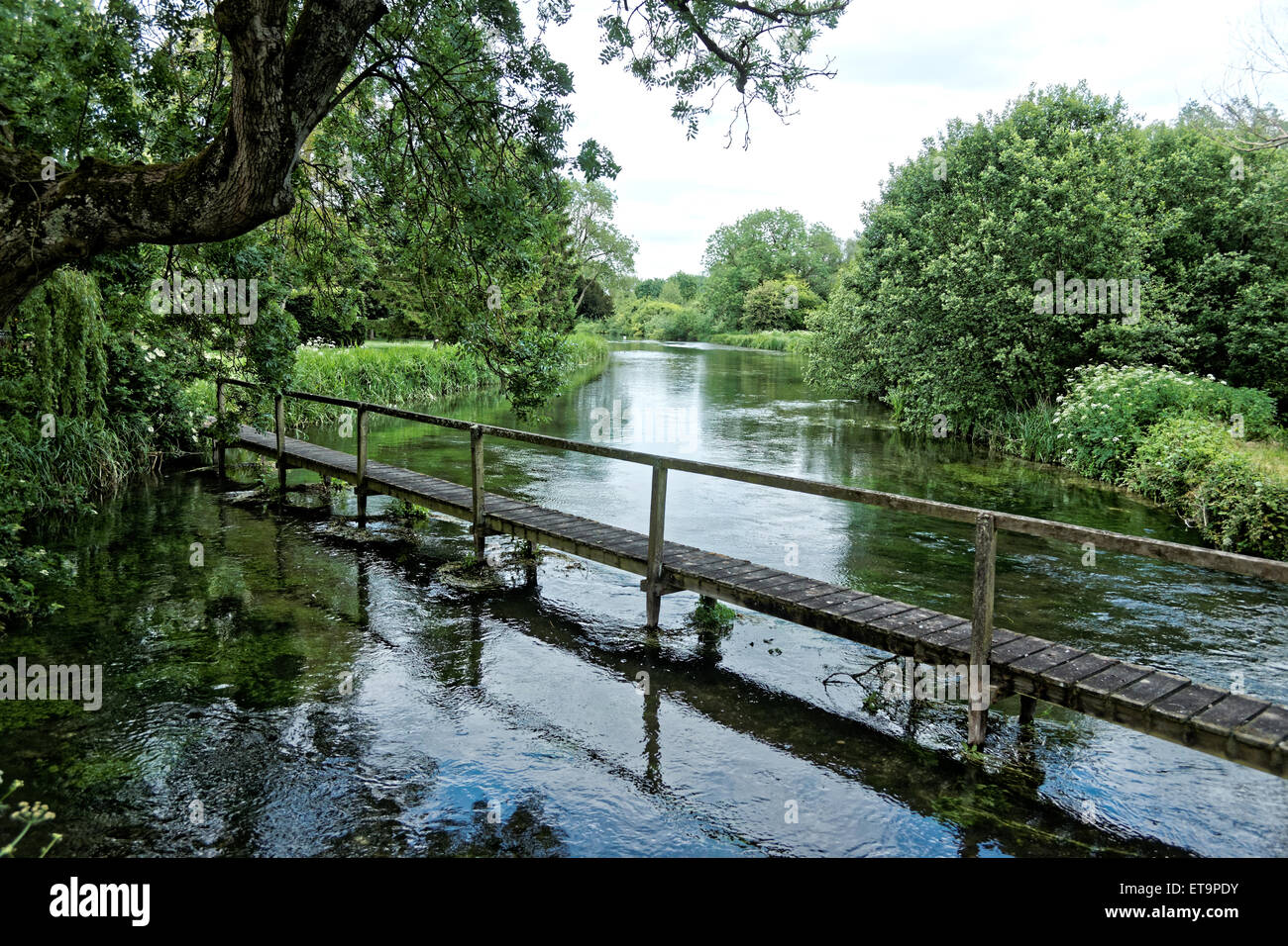 Trout fishing river test hi-res stock photography and images - Alamy
