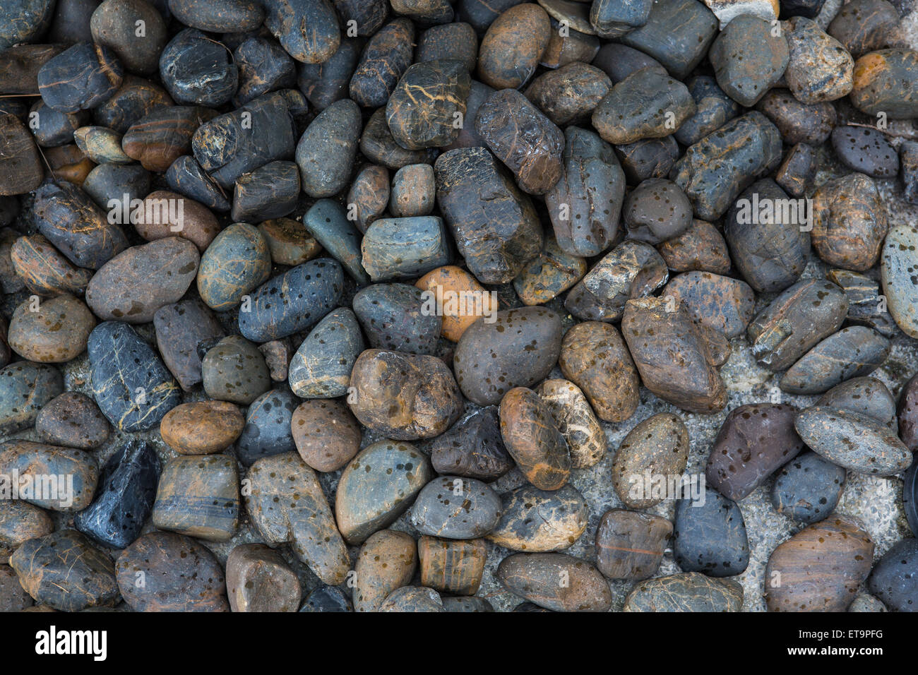 Background of colorful stones of different shape and size Stock Photo ...