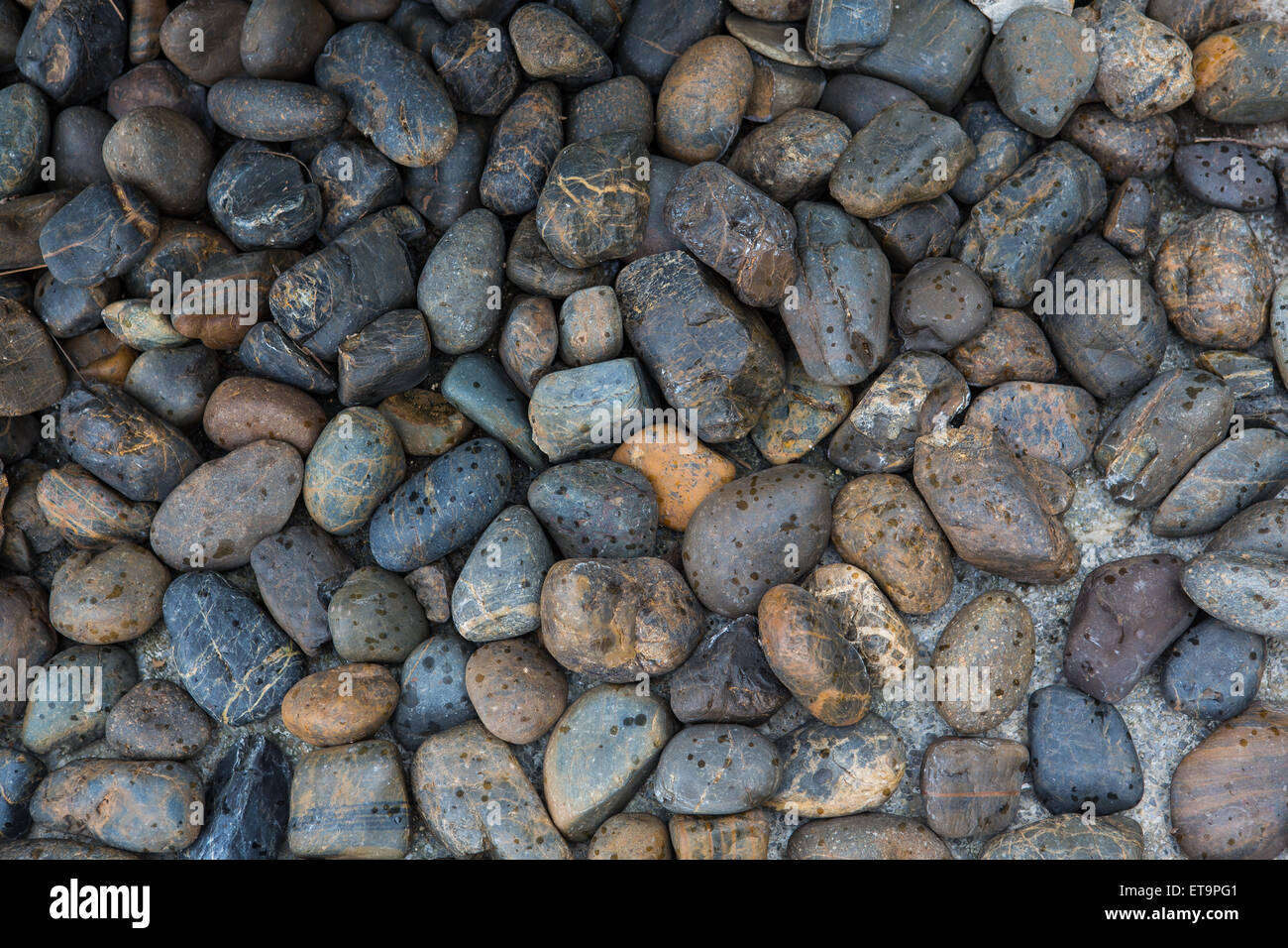 Background of colorful stones of different shape and size Stock Photo ...