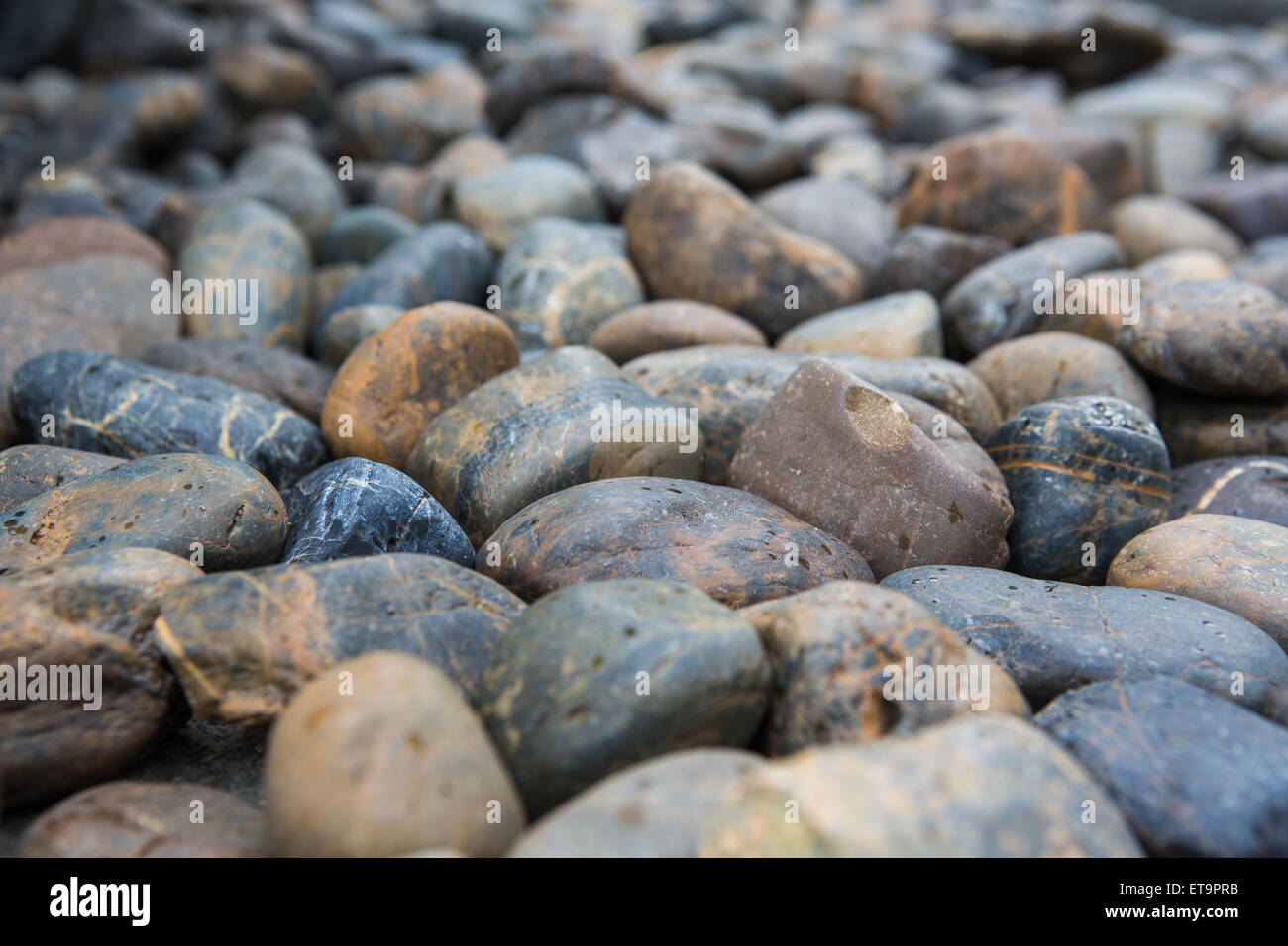 Background of colorful stones of different shape and size Stock Photo ...