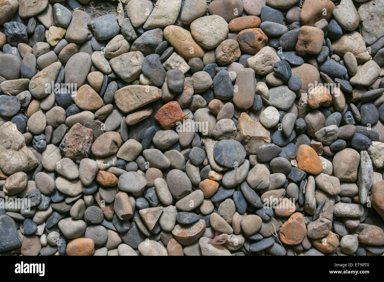 Background of colorful stones of different shape and size Stock Photo ...