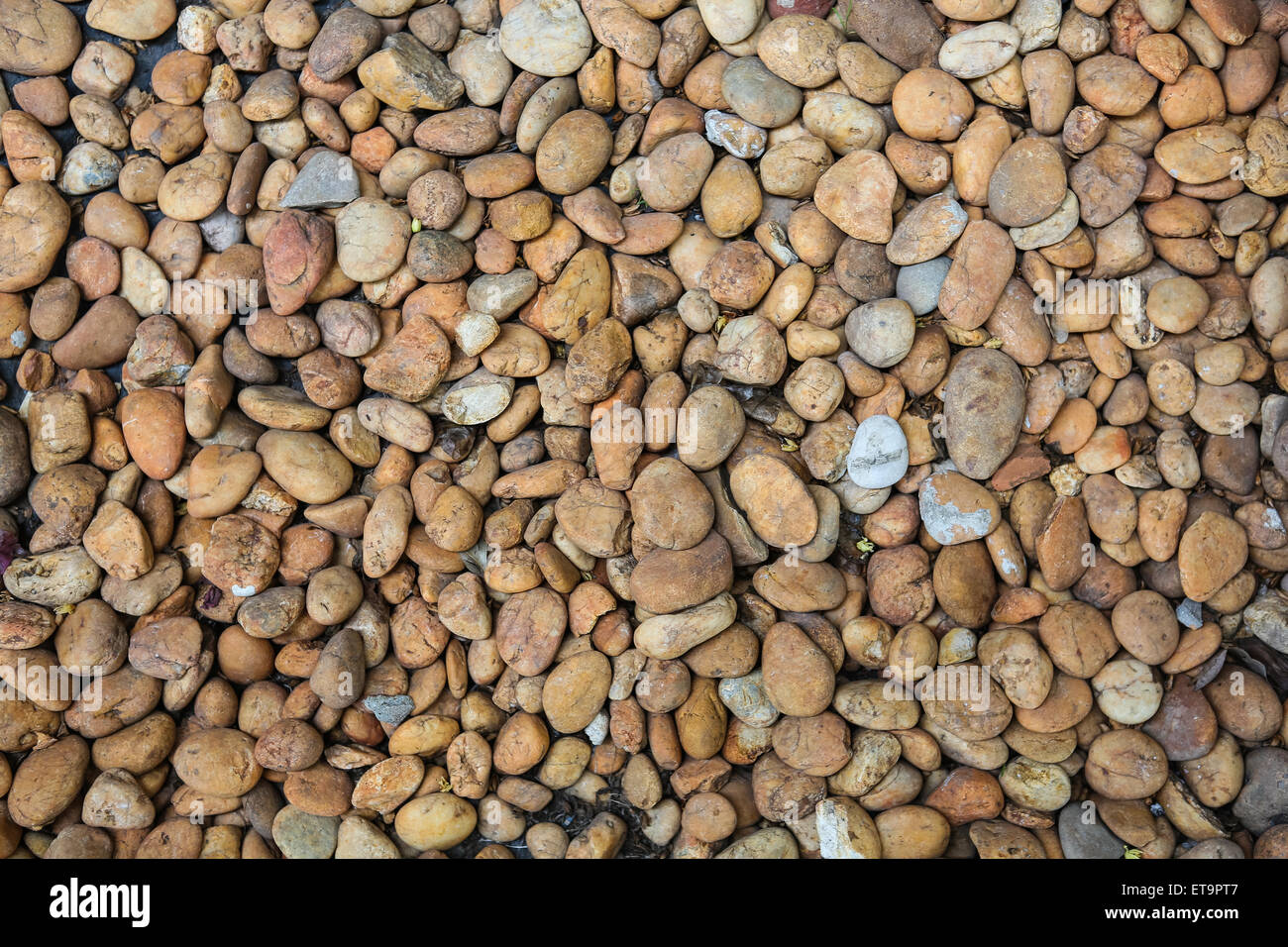 Background of colorful stones of different shape and size Stock Photo ...