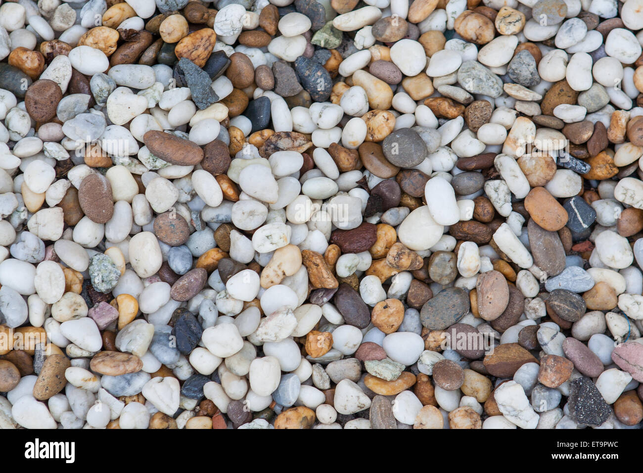Background of colorful stones of different shape and size Stock Photo ...