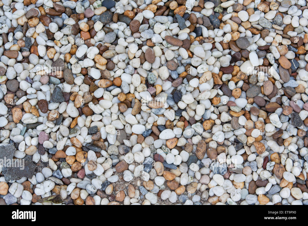 Background of colorful stones of different shape and size Stock Photo ...