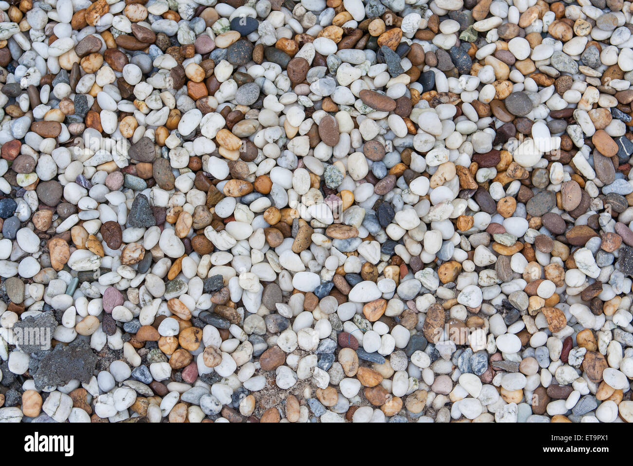 Background of colorful stones of different shape and size Stock Photo ...