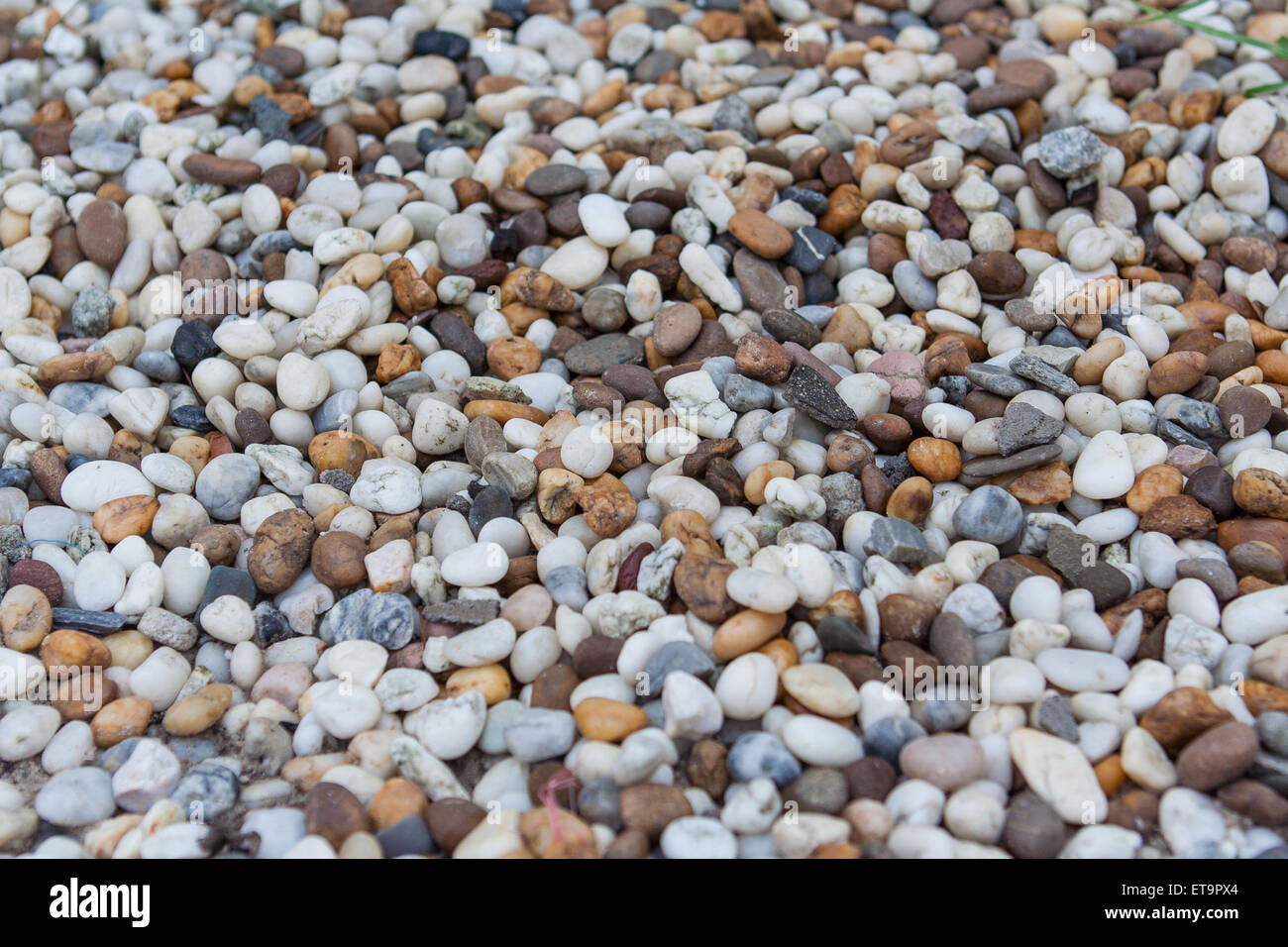 Background of colorful stones of different shape and size Stock Photo ...