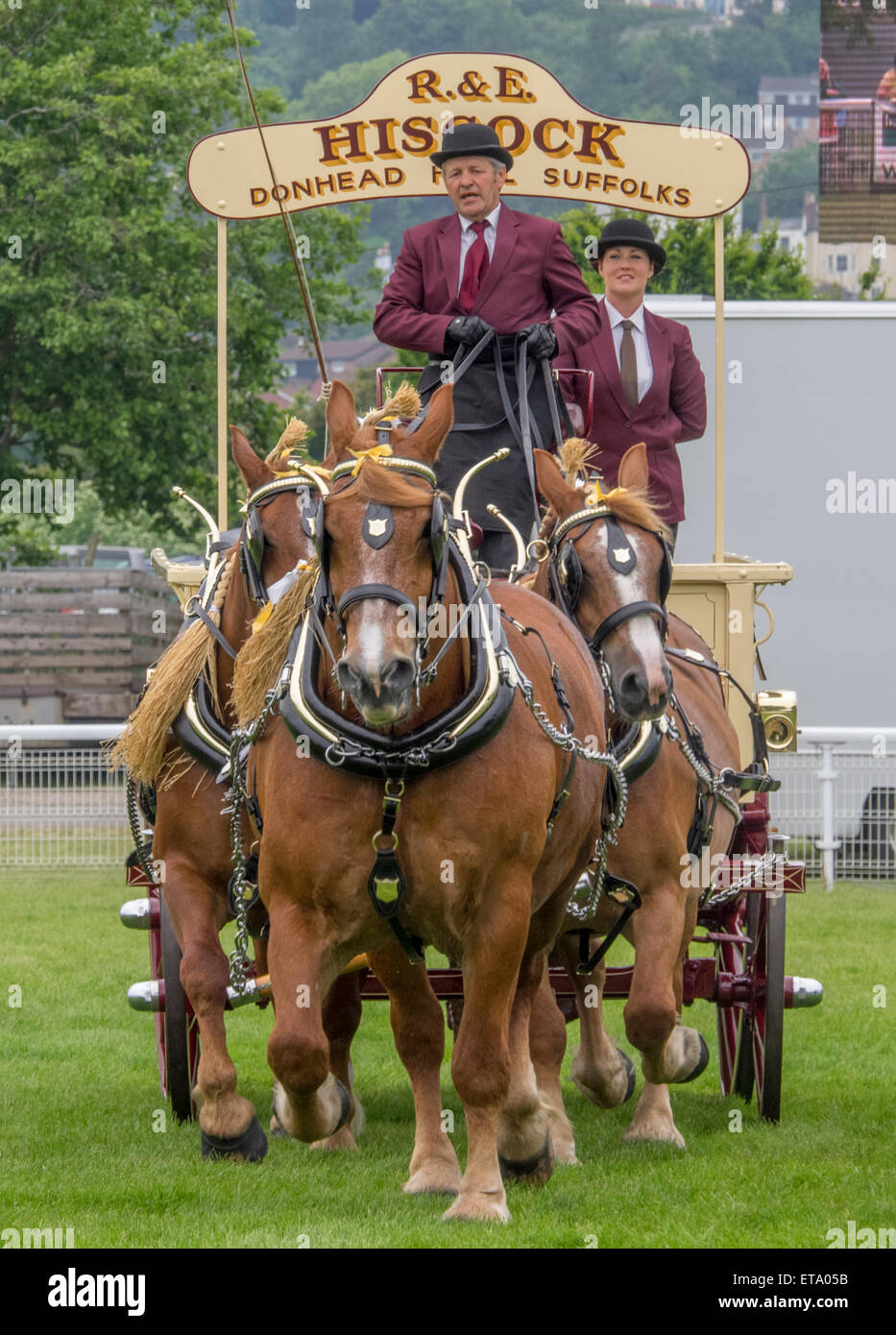 Malvern, Worcs, UK. 12th June 2015. Heavy horse display at the Royal ...