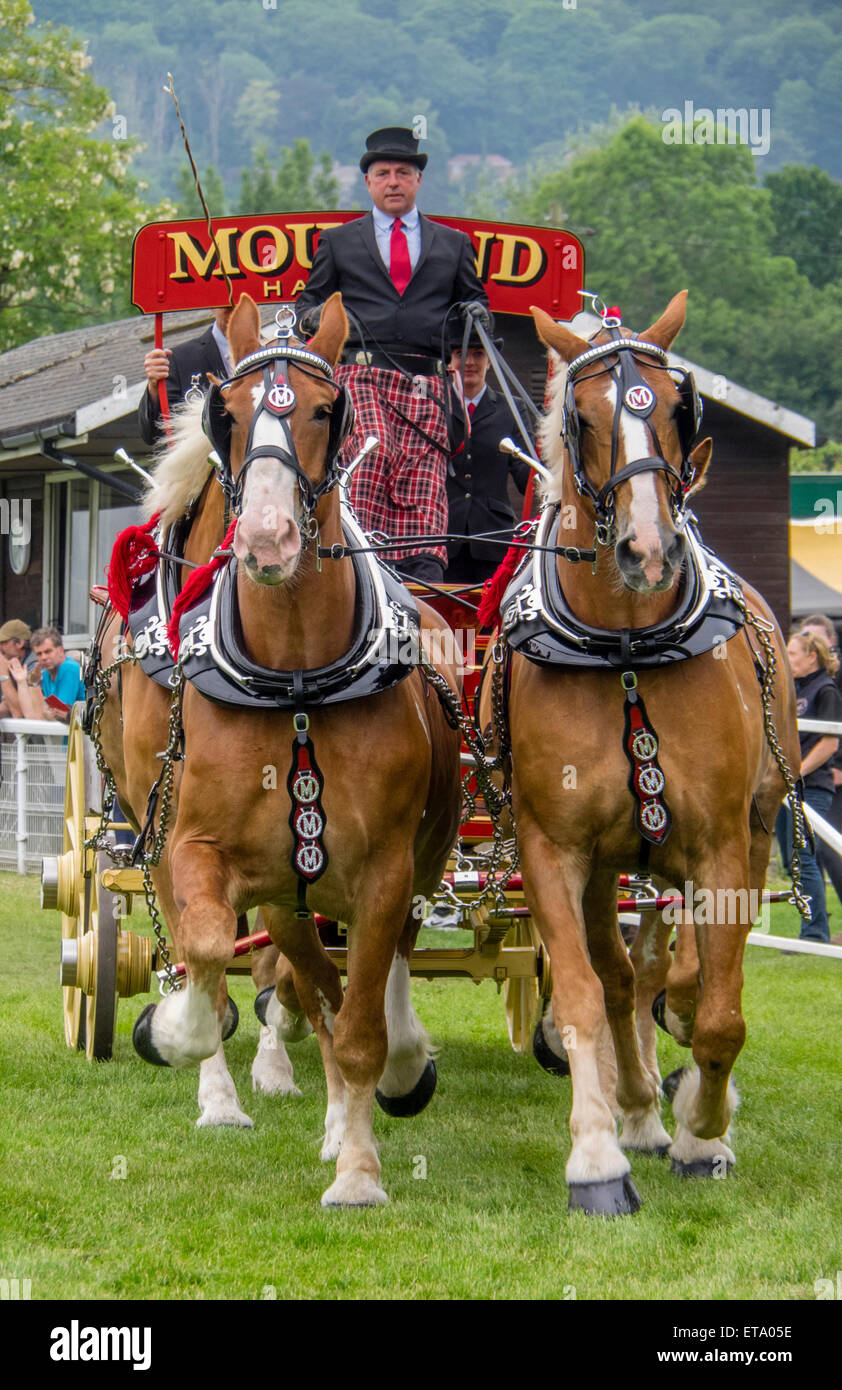 Royal three counties show malvern horse hi-res stock photography and ...