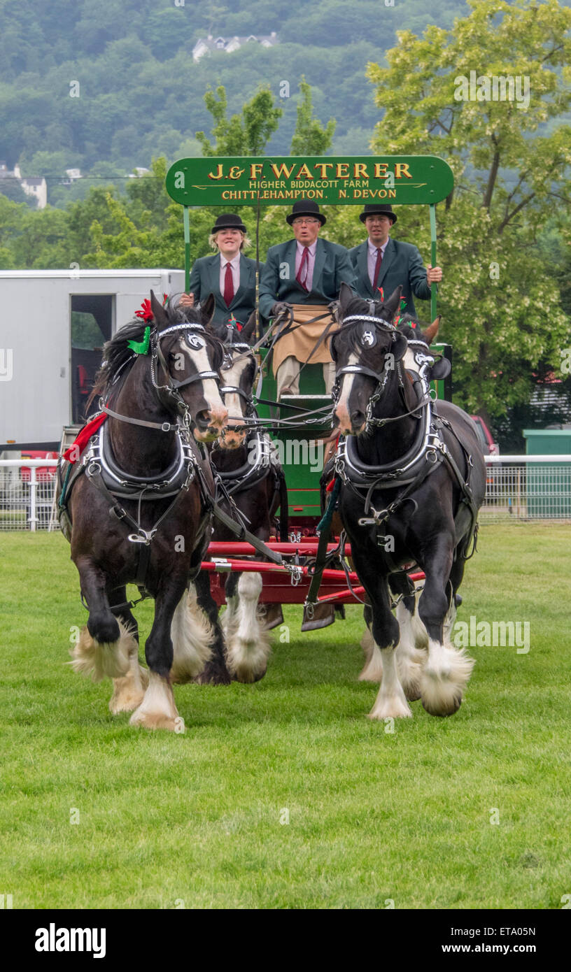 Malvern, Worcs, UK. 12th June 2015. Heavy horse display at the Royal ...