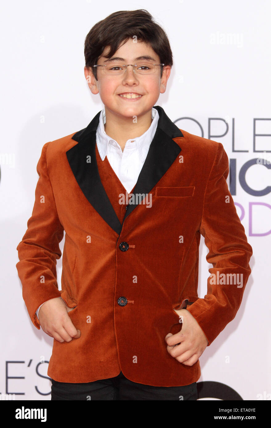 The 41st Annual People's Choice Awards at Nokia Theatre LA Live ...