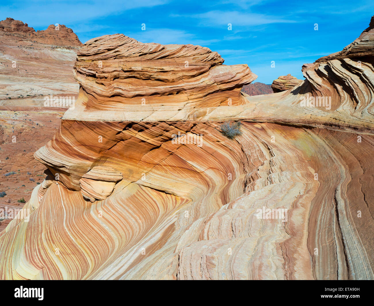 Scene from the beautiful geological formation of colorful folded ...