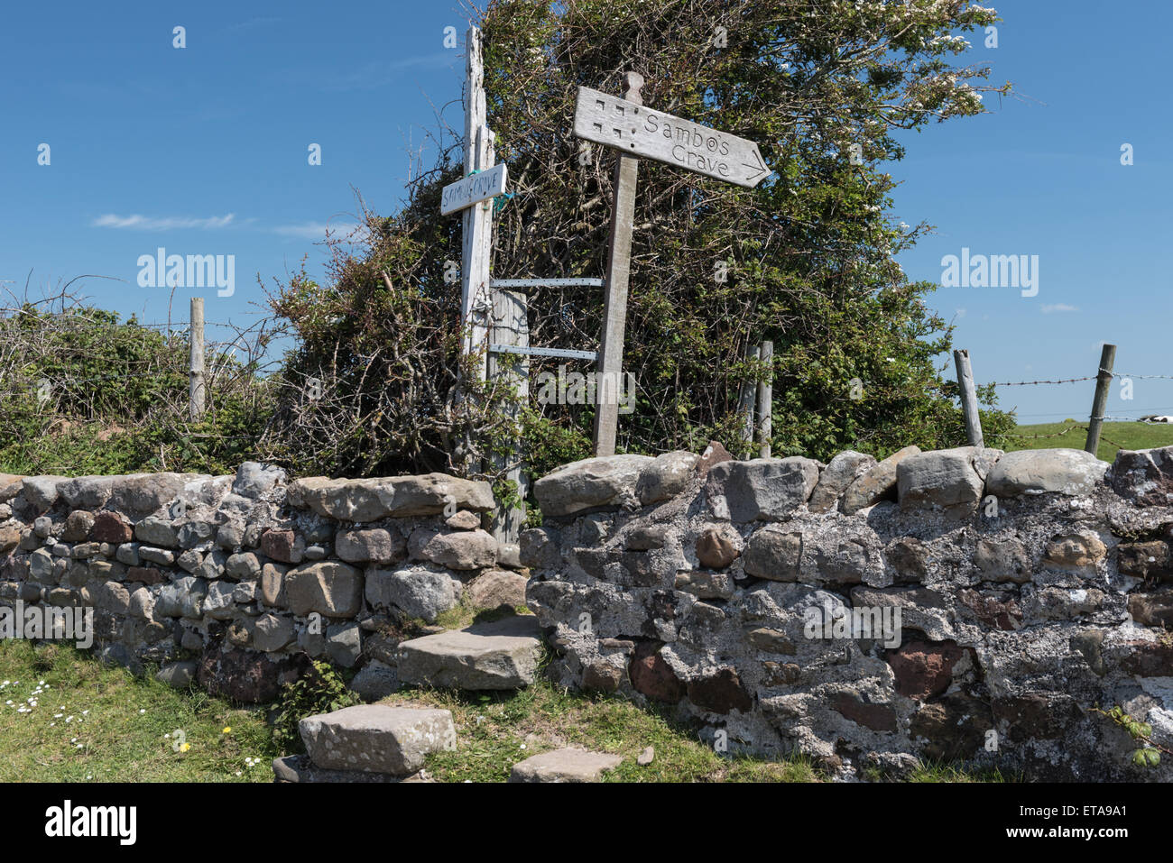 Sambos hi-res stock photography and images - Alamy