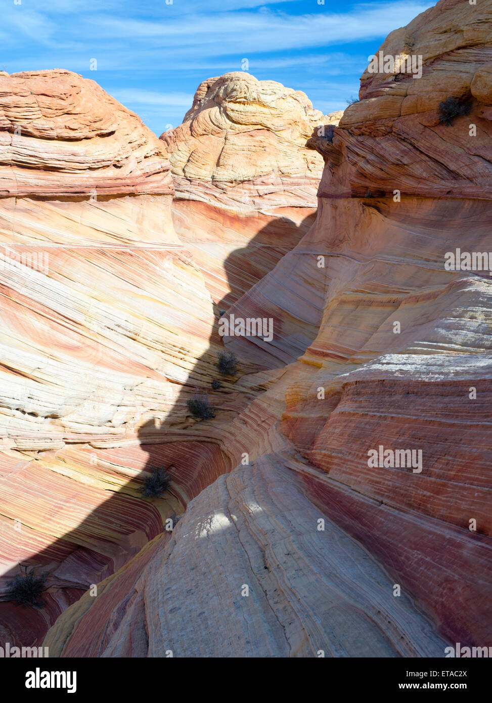 Scene from the beautiful geological formation of colorful folded ...