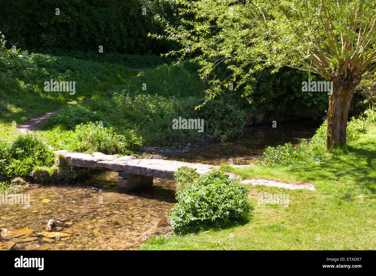 A willow tree growing beside the old stone bridge over the River Eye in ...