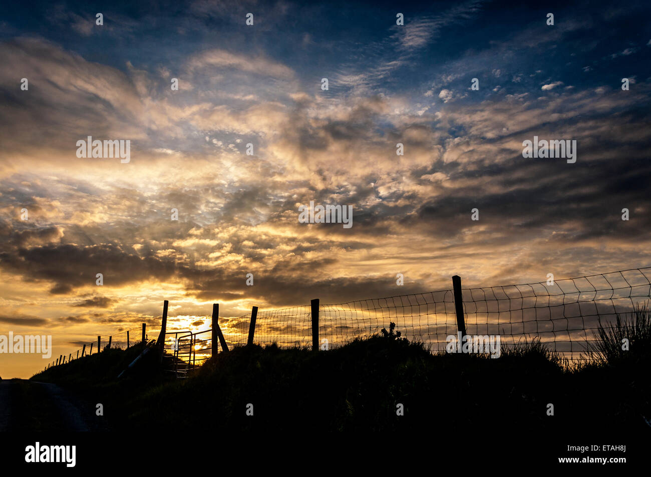 Irish country lane hi-res stock photography and images - Alamy