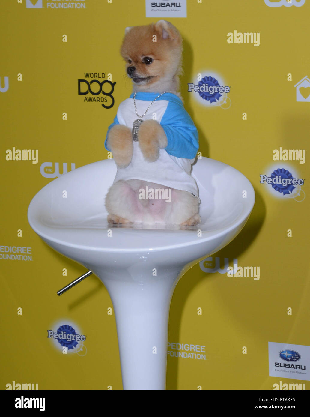 George Lopez hosts The World Dog Awards 2015 at Barker Hangar in Santa ...