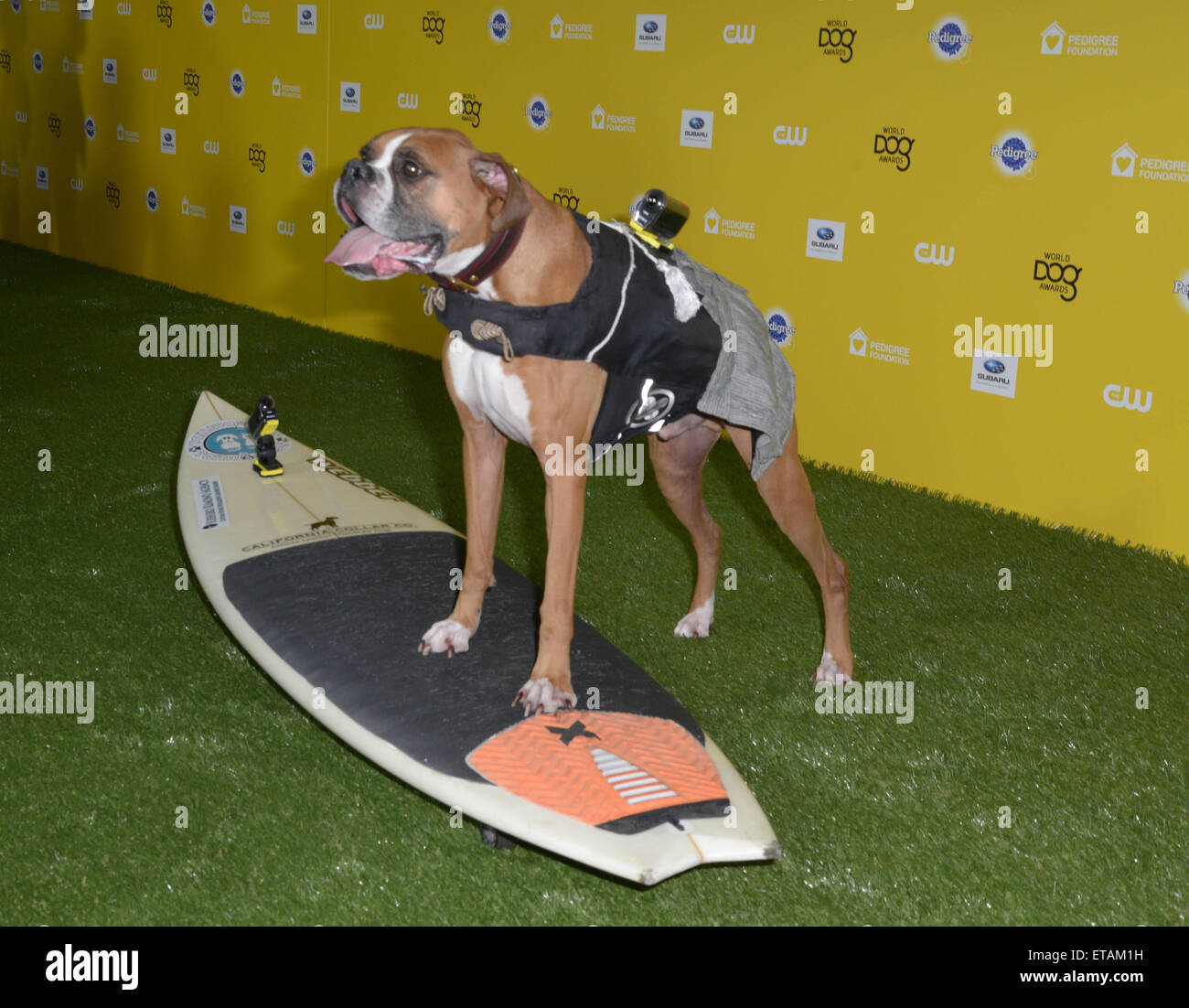 George Lopez hosts The World Dog Awards 2015 at Barker Hangar in Santa ...