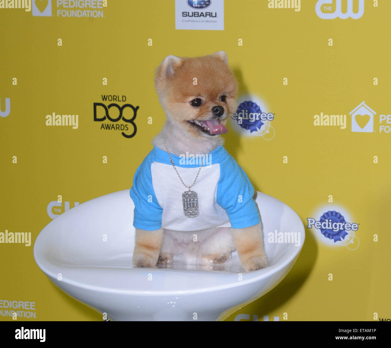 George Lopez hosts The World Dog Awards 2015 at Barker Hangar in Santa ...