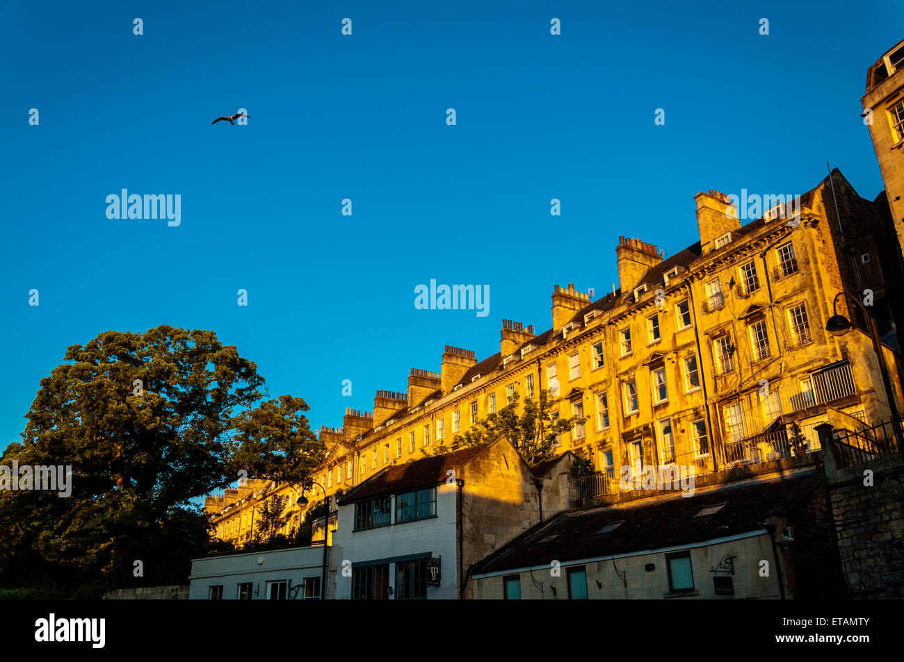 Bath Somerset Houses at dawn sunrise from Walcot Street Stock Photo - Alamy