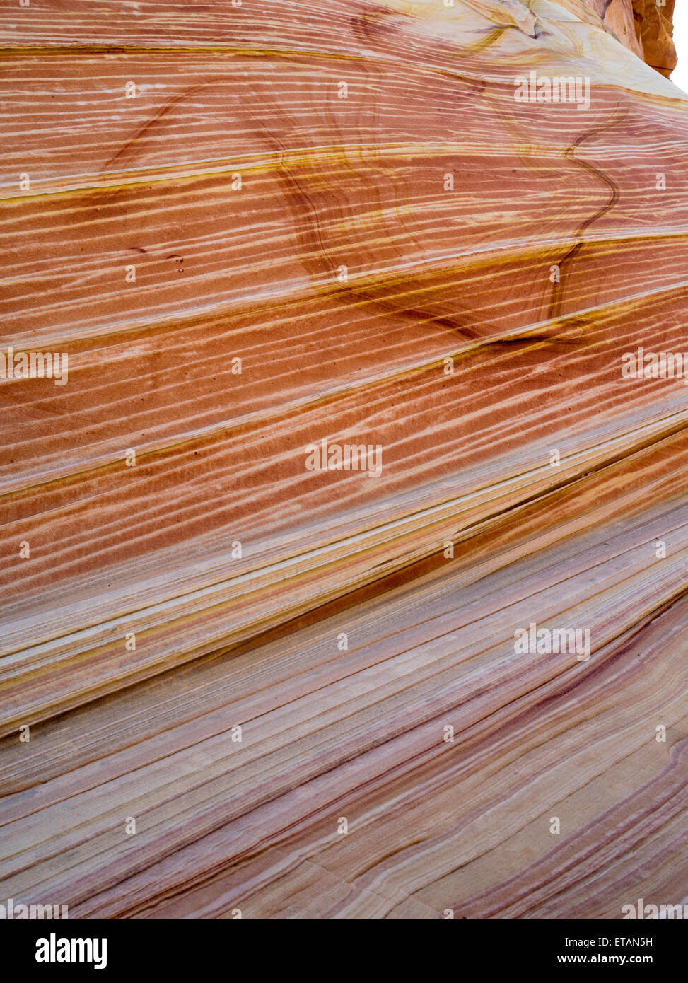 Scene from the beautiful geological formation of colorful folded ...