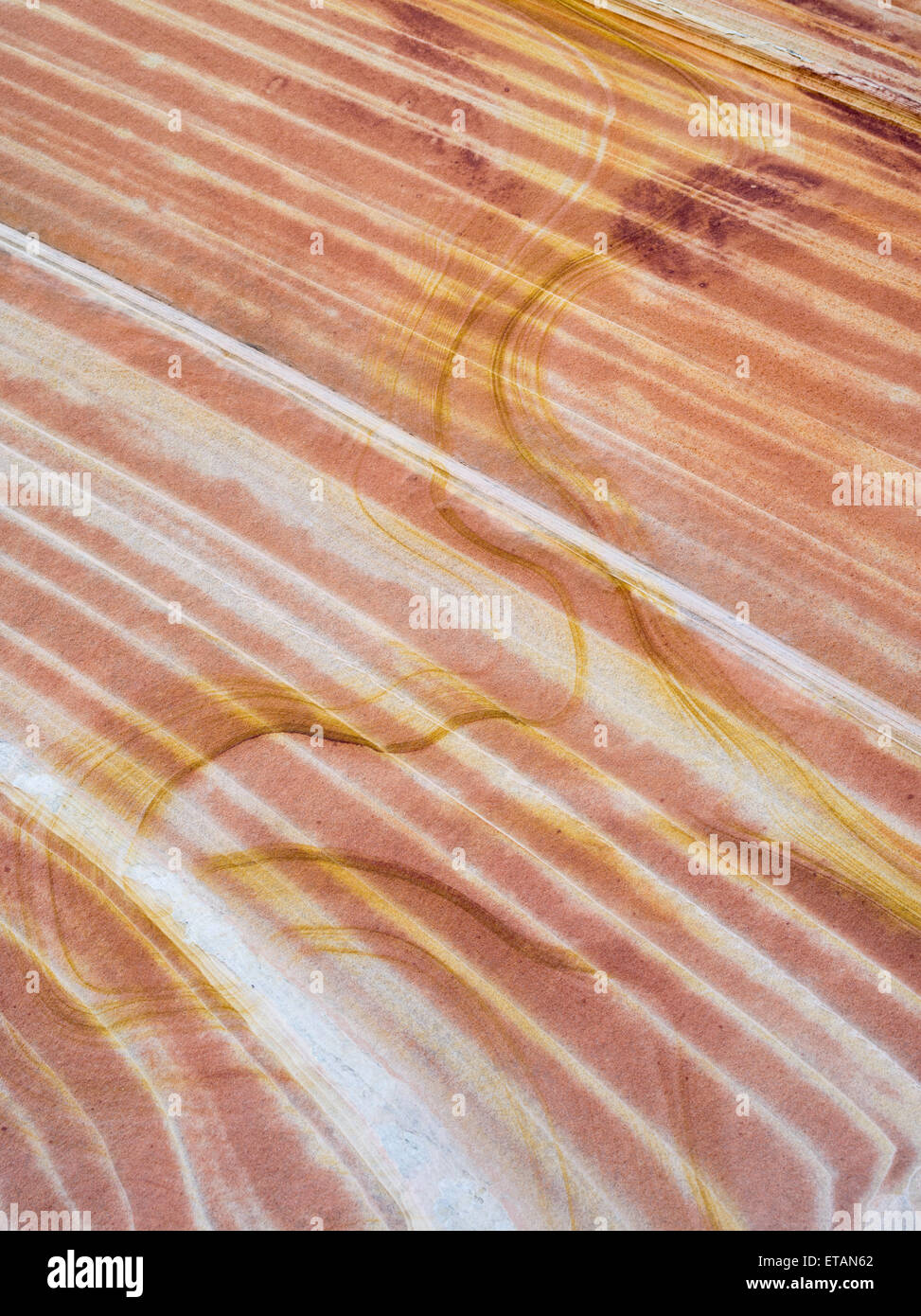 Scene from the beautiful geological formation of colorful folded ...