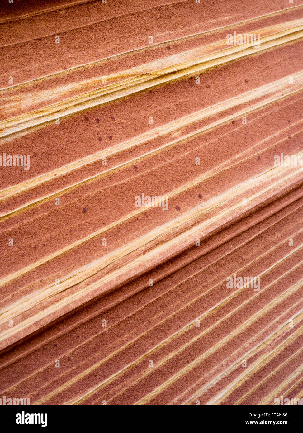 Scene from the beautiful geological formation of colorful folded ...
