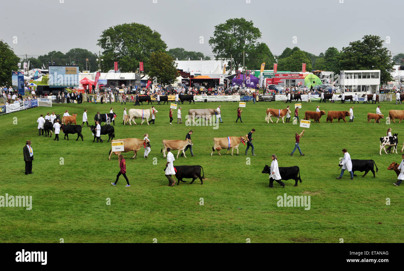 Agricultural show uk hi-res stock photography and images - Alamy