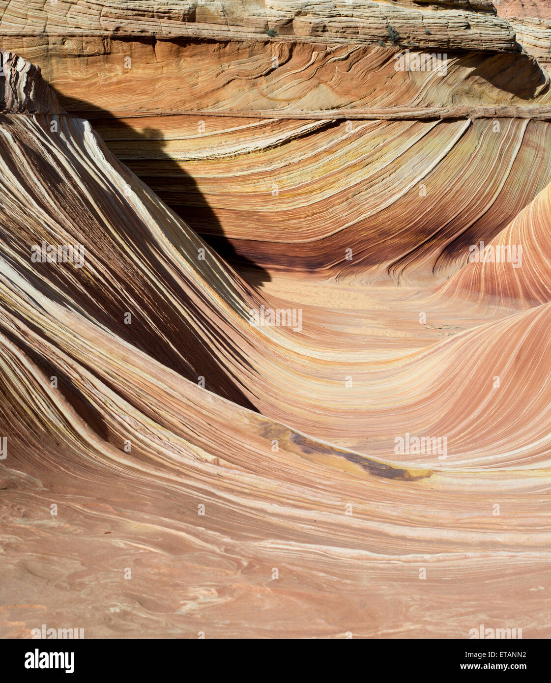 Scene from the beautiful geological formation of colorful folded ...
