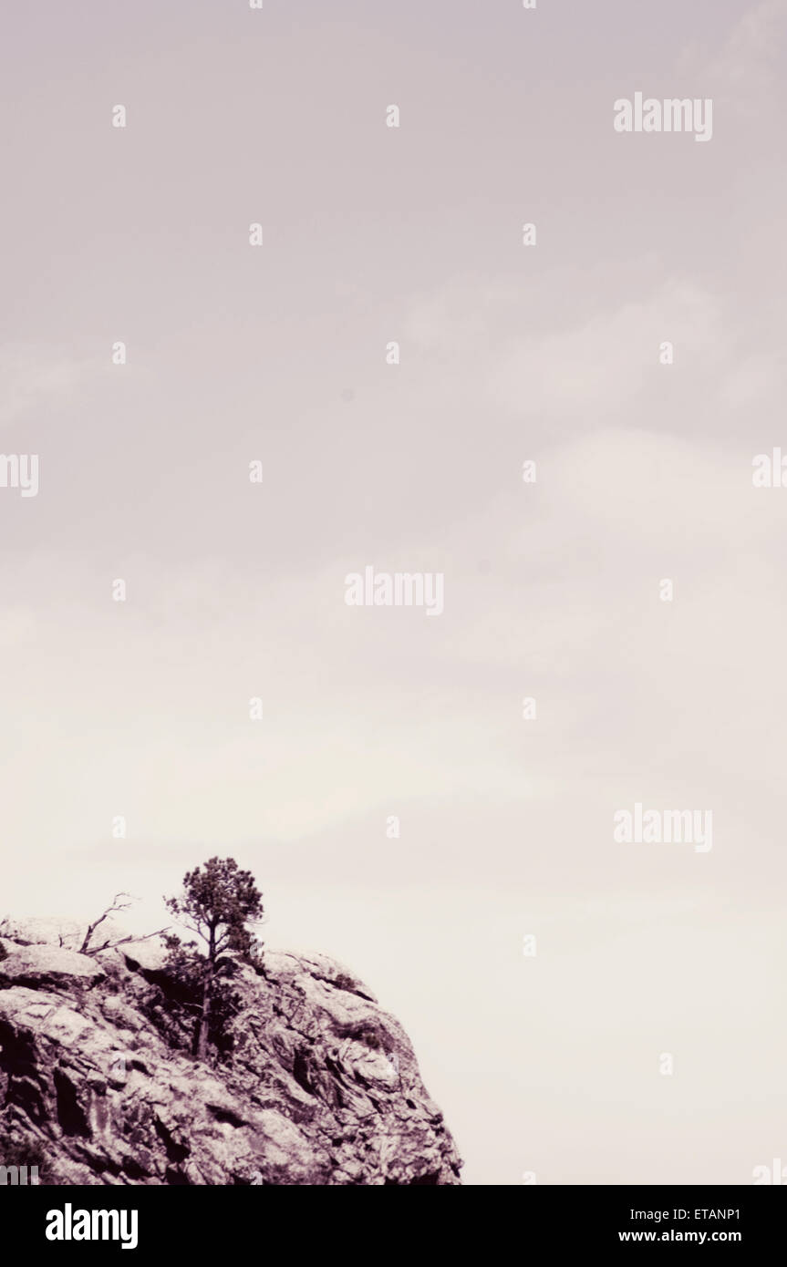 Tree cliff hi-res stock photography and images - Alamy