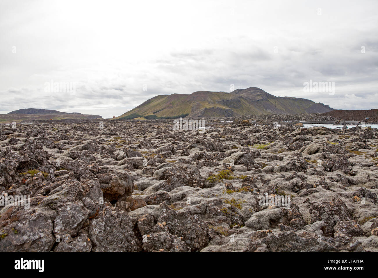 Typical volcanic lava landscape in Iceland Stock Photo - Alamy