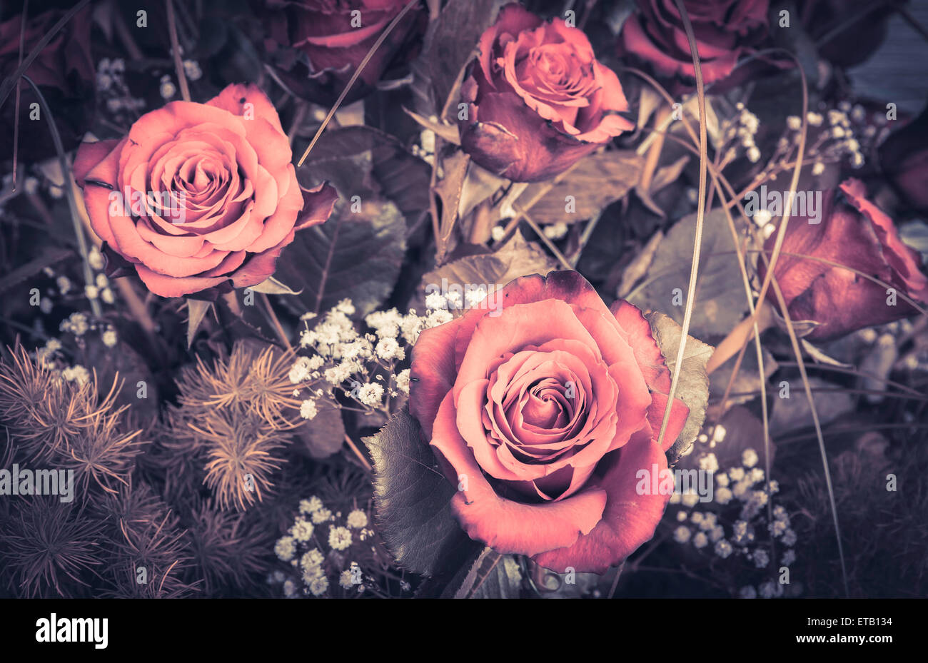 Closeup of beautiful freshly cut red roses bouquet Stock Photo - Alamy