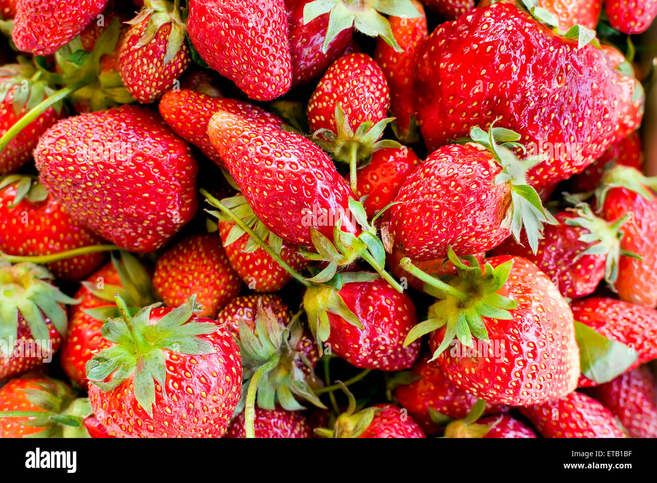 Bunch of fresh strawberries with leaves and blossom closeup Stock Photo ...