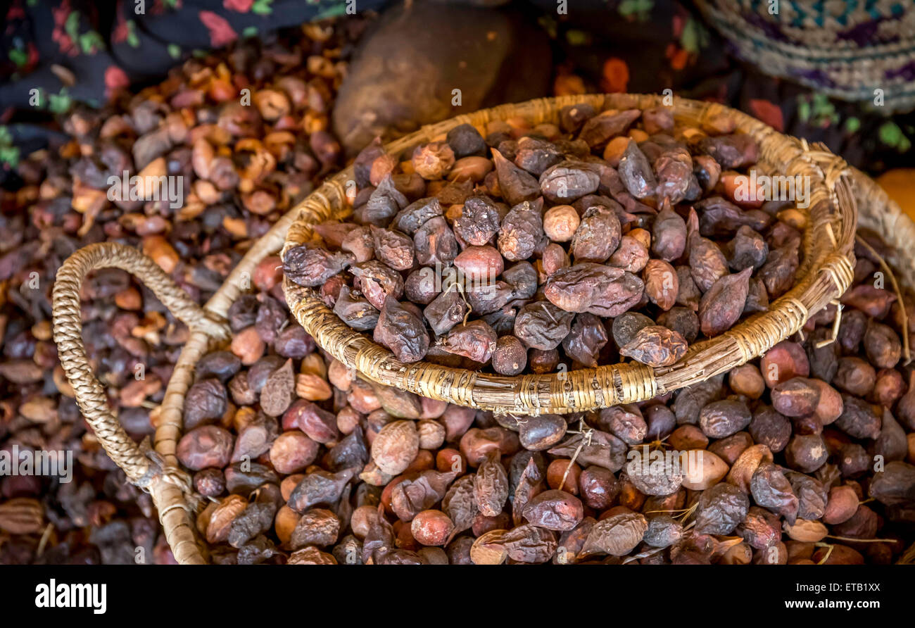 Moroccan argan seeds prepared for oil pruduction Stock Photo - Alamy