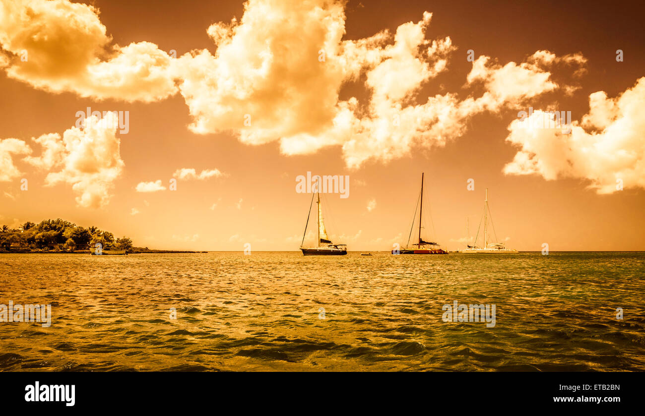 Golden caribbean sea scenery in Dominican Republic Stock Photo - Alamy