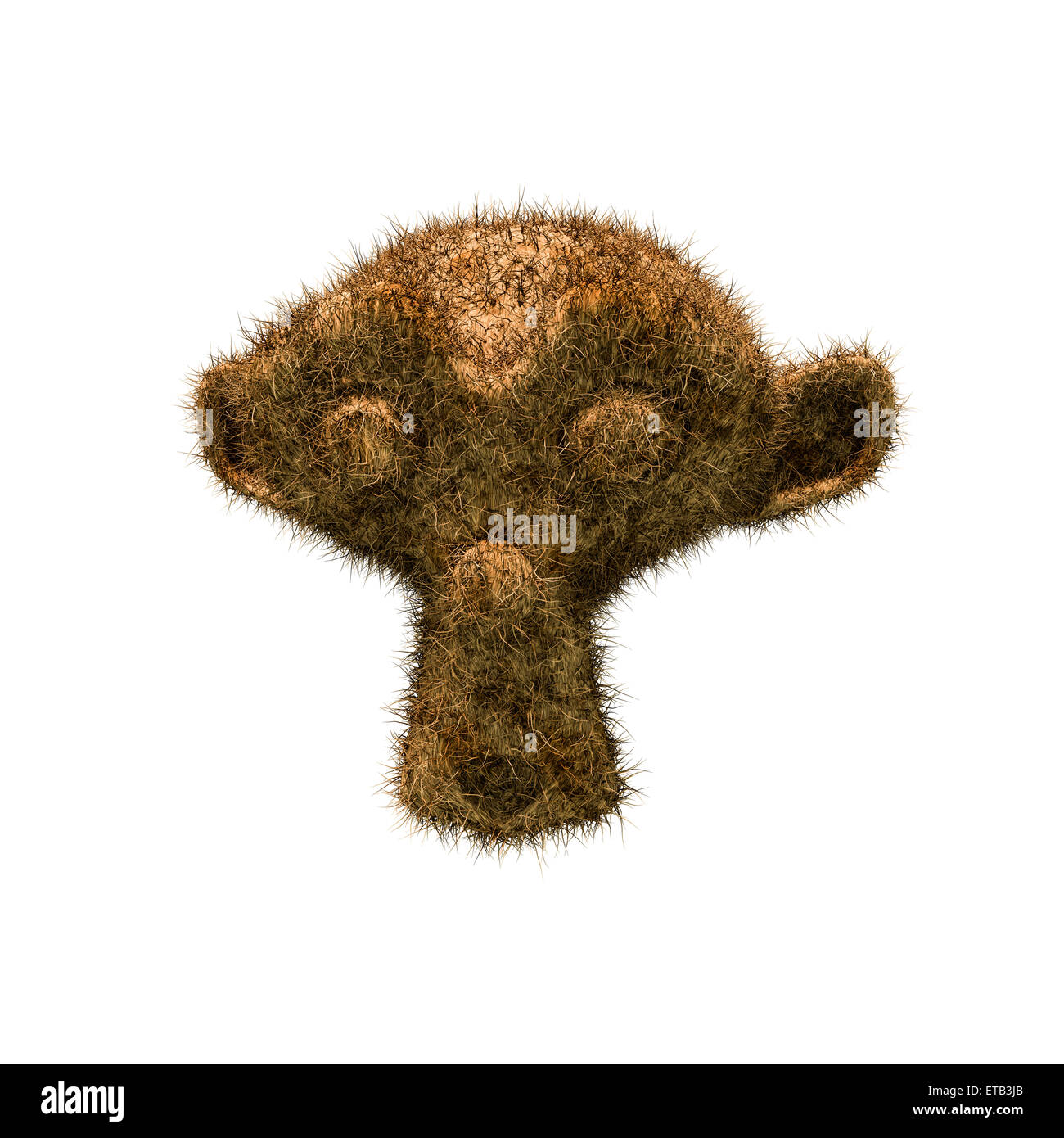 monkey head isolated on white background Stock Photo - Alamy