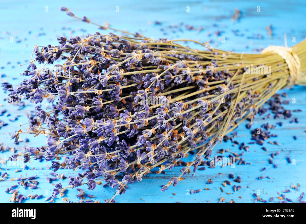 closeup of a bunch of lavender flowers tied with a string on a worn ...