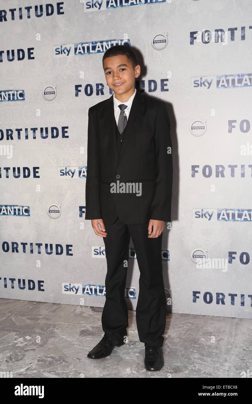 Sky Atlantic's 'Fortitude' - Premiere - Arrivals Featuring: Darwin ...