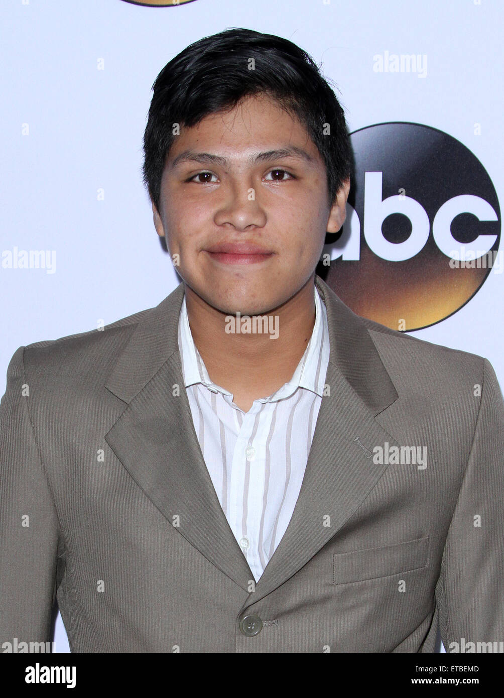 Disney ABC TCA Winter Press Tour held at the Langham Huntington Hotel ...