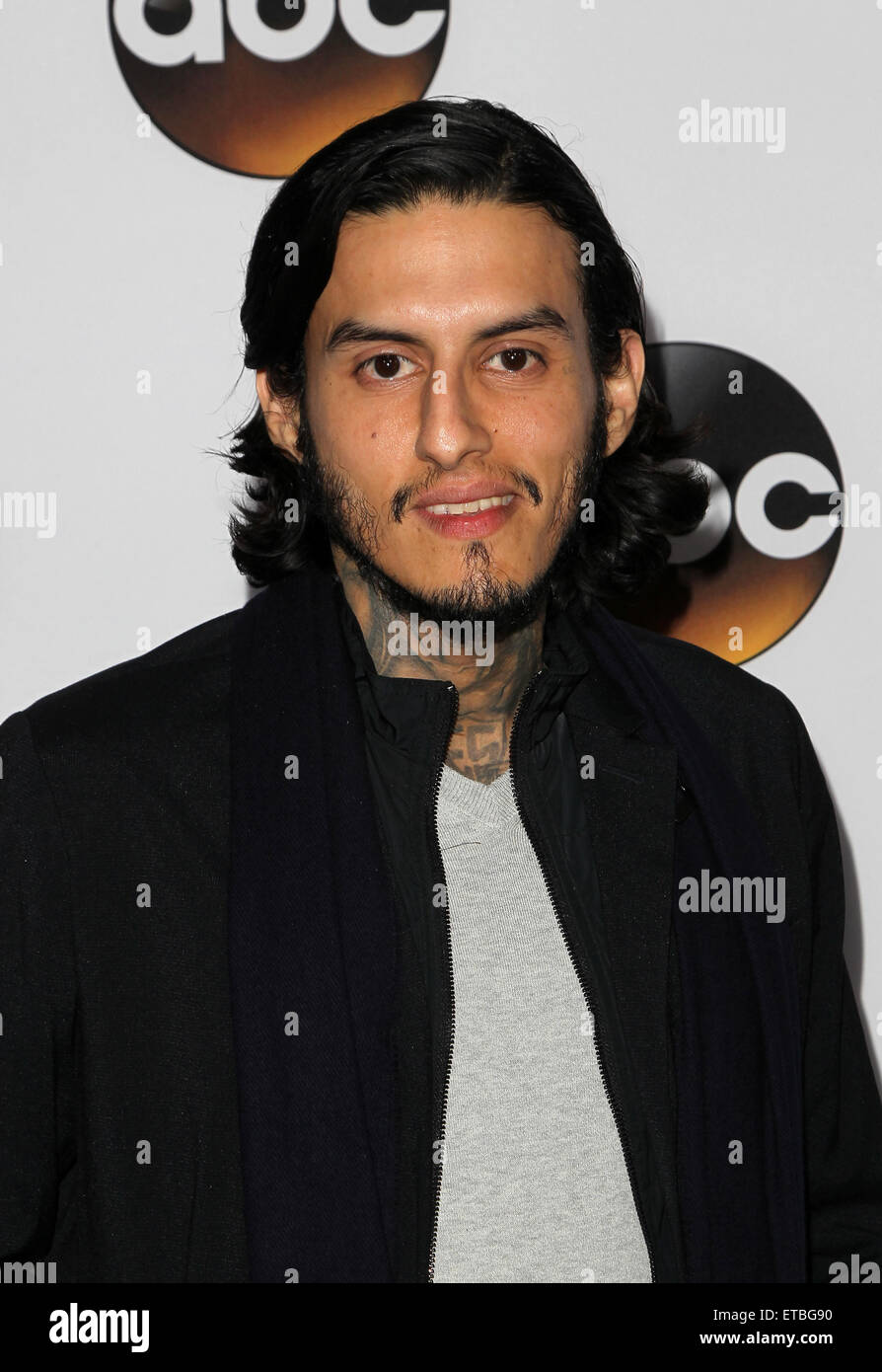 Disney & ABC Television Group's TCA Winter Press Tour - Arrivals ...