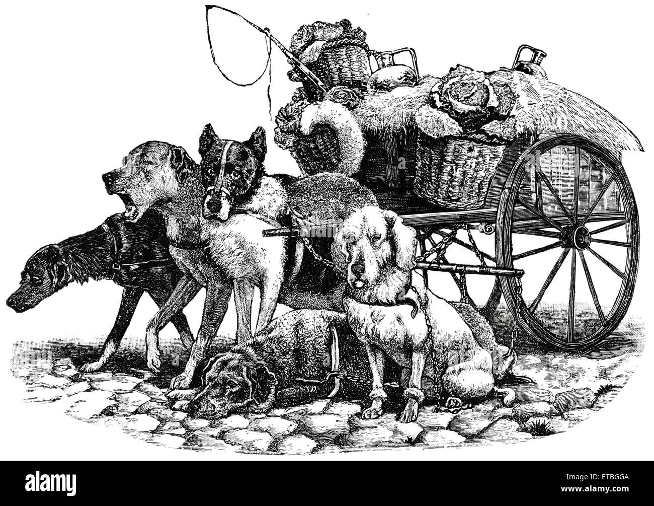 Vegetable cart historical hi-res stock photography and images - Alamy