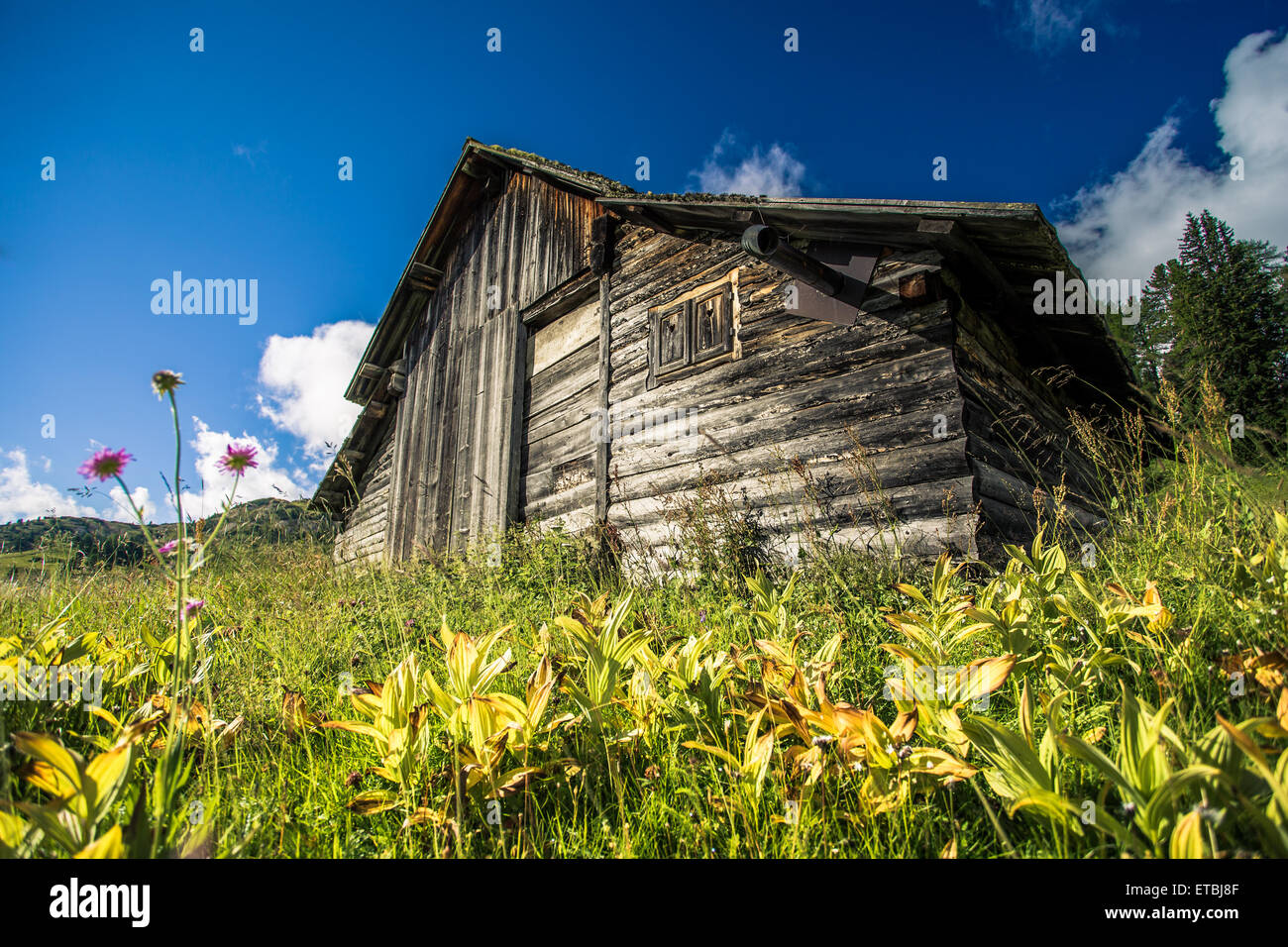 Remote cabin hi-res stock photography and images - Alamy