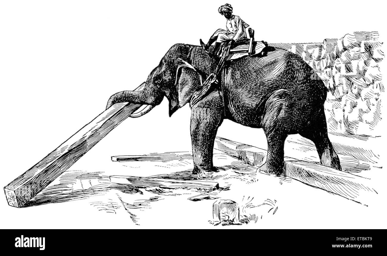 Lumber carriers hi-res stock photography and images - Alamy