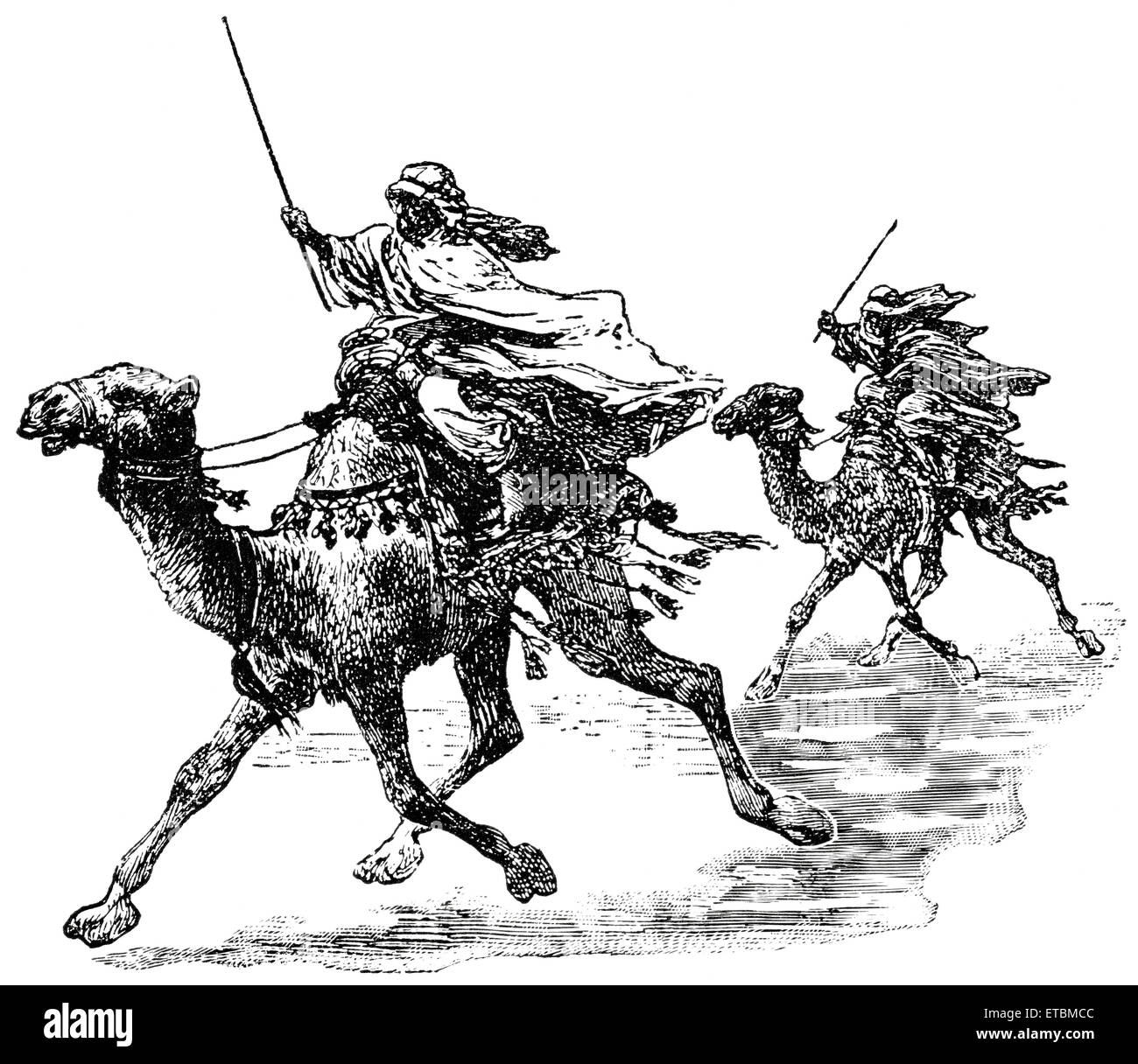 Egypt camel race hi-res stock photography and images - Alamy