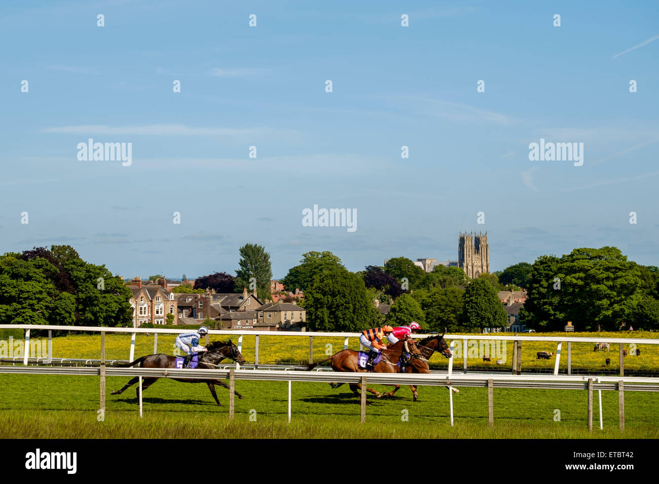 Beverley westwood hi-res stock photography and images - Alamy