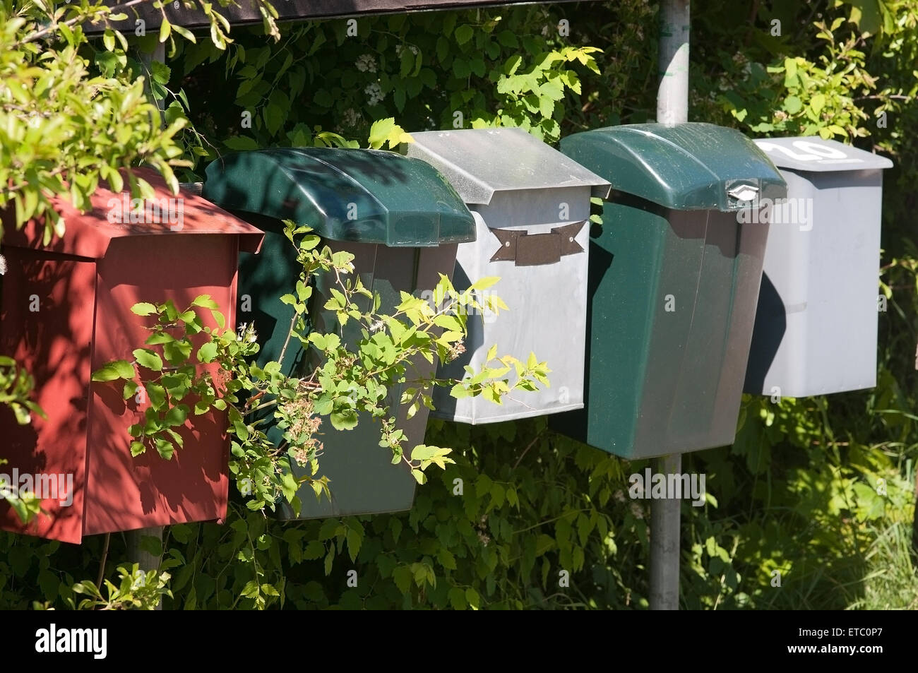 Mailboxes made of plastic in green, white and red, in a row outdoors in ...